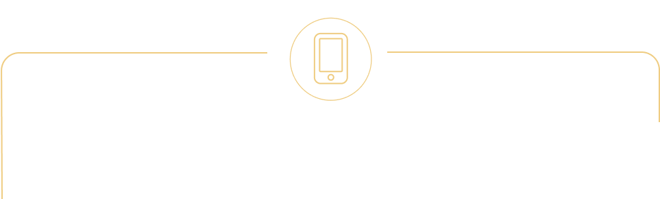 Festember Campus Ambassador